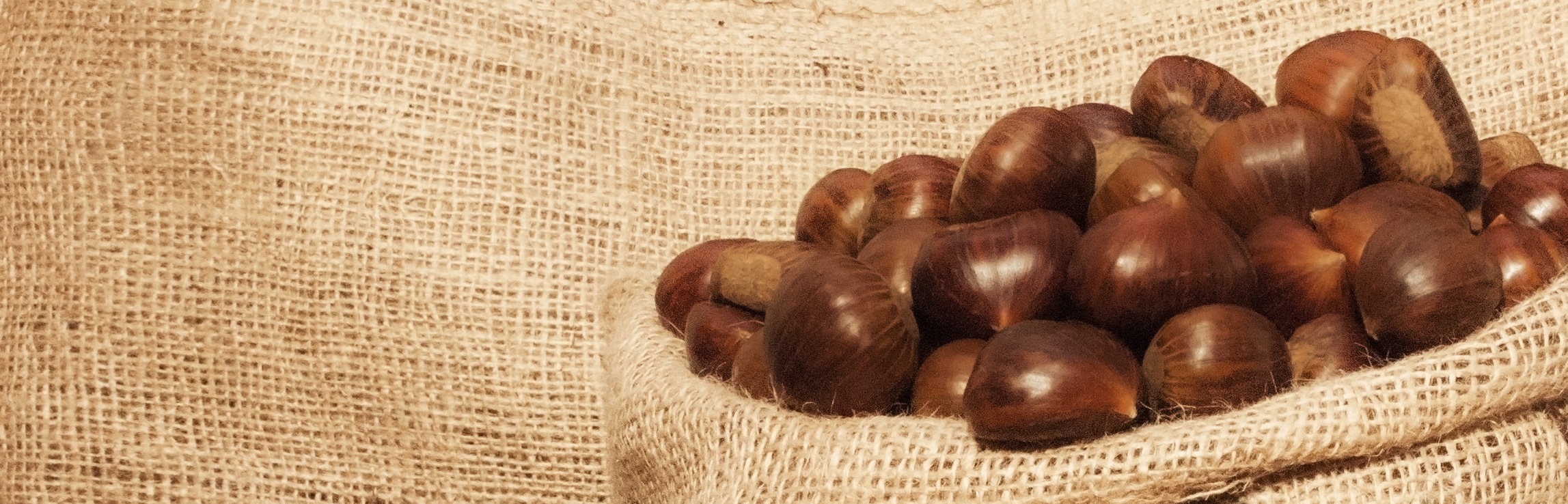 Italian Chestnuts | My aim is to bring the Italian chestnuts b2b trade ...