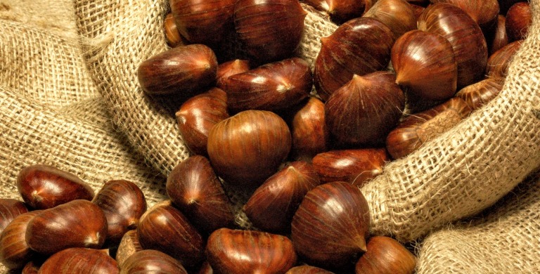 Good chestnut crop expected from Italy in 2018 | Italian Chestnuts